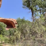 Harris Wash, Utah - 21 Reviews, Map | AllTrails