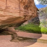 Harris Wash, Utah - 21 Reviews, Map | AllTrails
