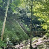 Piatt Park Trail, Ohio - 180 Reviews, Map | AllTrails