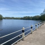 Redesmere and Capesthorne Circular, Cheshire, England - 110 Reviews ...