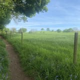 Redesmere and Capesthorne Circular, Cheshire, England - 110 Reviews ...
