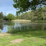 Redesmere and Capesthorne Circular, Cheshire, England - 110 Reviews ...