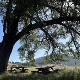 East Ridge and Cronan Ranch Loop, California - 1,061 Reviews, Map ...