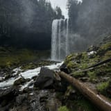 Tamanawas Falls Trail, Oregon - 5,176 Reviews, Map | AllTrails
