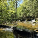Christman Sanctuary Blue Trail, New York - 472 Reviews, Map | AllTrails