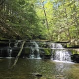 Christman Sanctuary Blue Trail, New York - 472 Reviews, Map | AllTrails