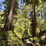 Tanbark Trail and Tin House Loop, California - 1,411 Reviews, Map ...