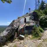 Currahee Mountain, Georgia - 667 Reviews, Map | AllTrails