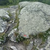 Mount Watatic, Massachusetts - 1,586 Reviews, Map | AllTrails