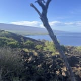 Ka'Awaloa - Captain Cook Monument Trail, Hawaii, Hawaii - 2,993 Reviews ...