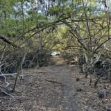 Ka'Awaloa - Captain Cook Monument Trail, Hawaii, Hawaii - 2,993 Reviews ...