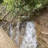 Gorman Falls Trail, Texas - 1,125 Reviews, Map | AllTrails