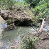 Gorman Falls Trail, Texas - 1,125 Reviews, Map | AllTrails