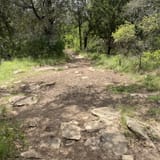 Gorman Falls Trail, Texas - 1,150 Reviews, Map | AllTrails