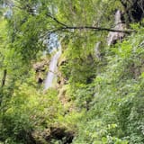 Gorman Falls Trail, Texas - 1,125 Reviews, Map | AllTrails