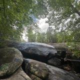 Forty Acre Rock Trail, South Carolina - 518 Reviews, Map | AllTrails