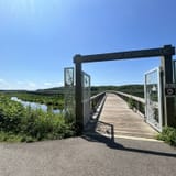 Neabsco Creek Boardwalk, Virginia - 969 Reviews, Map | AllTrails