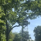 Johnny Reb Trail, Pennsylvania - 535 Reviews, Map | AllTrails