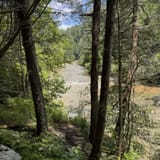 Cartecay River Loop Trail, Georgia - 2,127 Reviews, Map | AllTrails