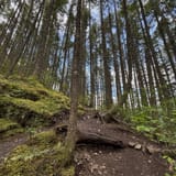 Little Si Trail, Washington - 11,326 Reviews, Map | AllTrails
