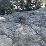 Four Lake Loop Trail, Colorado - 1,598 Reviews, Map | AllTrails