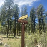 Mars Hill Trail, Arizona - 1,222 Reviews, Map | AllTrails