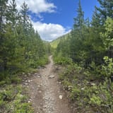 Apgar Lookout, Montana - 1,735 Reviews, Map | AllTrails