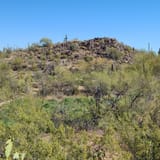 Signal Hill Trail, Arizona - 1,317 Reviews, Map | AllTrails
