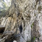 Broads Fork Trail, Utah - 1,627 Reviews, Map | AllTrails