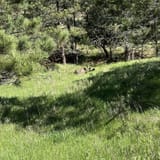 Empire Mine via Samelius Trailhead, South Dakota - 374 Reviews, Map ...