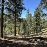 Empire Mine via Samelius Trailhead, South Dakota - 374 Reviews, Map ...