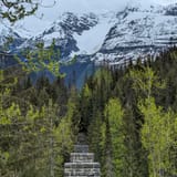 Loop Brook Trail, British Columbia, Canada - 251 Reviews, Map | AllTrails