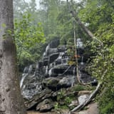 Yellow Branch Falls Trail, South Carolina - 2,772 Reviews, Map | AllTrails