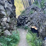 Fall Creek Falls Trail, Oregon - 375 Reviews, Map | AllTrails