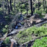 Fall Creek Falls Trail, Oregon - 375 Reviews, Map | AllTrails