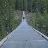 Blackshale Suspension Bridge, Alberta, Canada - 979 Reviews, Map ...