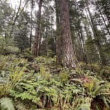 Oyster Dome from Samish Overlook, Washington - 2,741 Reviews, Map ...