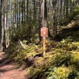 Oyster Dome from Samish Overlook, Washington - 2,741 Reviews, Map ...