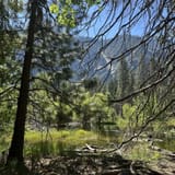 Sentinel Meadow Cook's Meadow Loop Trail, California - 3,395 Reviews ...