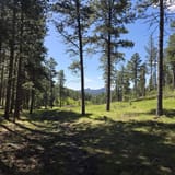 Empire Mine via Samelius Trailhead, South Dakota - 374 Reviews, Map ...