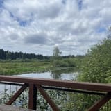 Mercer Slough Nature Park, Washington - 1,047 Reviews, Map | AllTrails