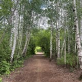 Mercer Slough Nature Park, Washington - 1,047 Reviews, Map | AllTrails