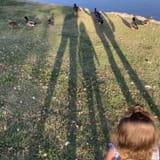 Freestone Pond Loop, Arizona - 184 Reviews, Map | AllTrails