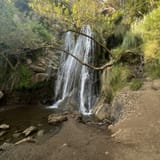 Escondido Falls Trail, California - 6,533 Reviews, Map | AllTrails