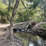 Escondido Falls Trail, California - 6,533 Reviews, Map | AllTrails