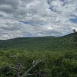 White Rocks Trail, Pennsylvania - 1,749 Reviews, Map | AllTrails