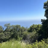 Tanbark Trail and Tin House Loop, California - 1,411 Reviews, Map ...