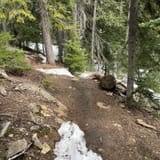 Blue Lake Trail, Washington - 3,547 Reviews, Map | AllTrails