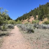 Chamisa Trail, New Mexico - 1,432 Reviews, Map | AllTrails