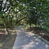 Southern Ridges and Labrador Park Loop, Central, Singapore - 448 ...